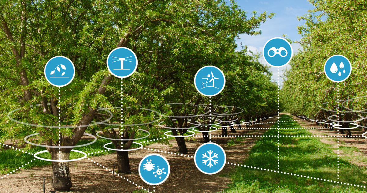 Our Solutions - Semios