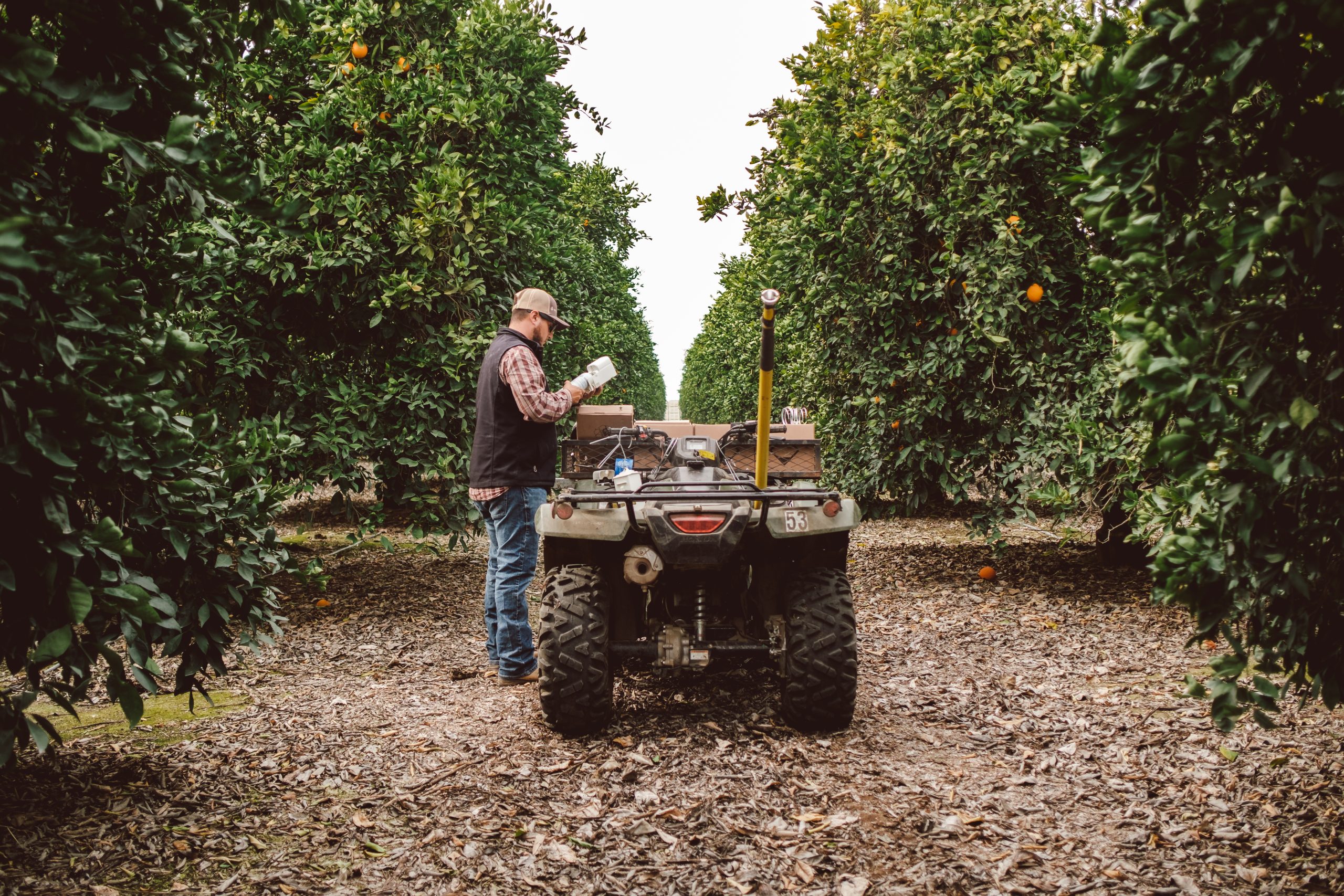 Customer Support - Semios